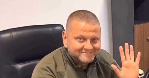 Главком ВСУ снят с должности, — СМИ | Русская весна